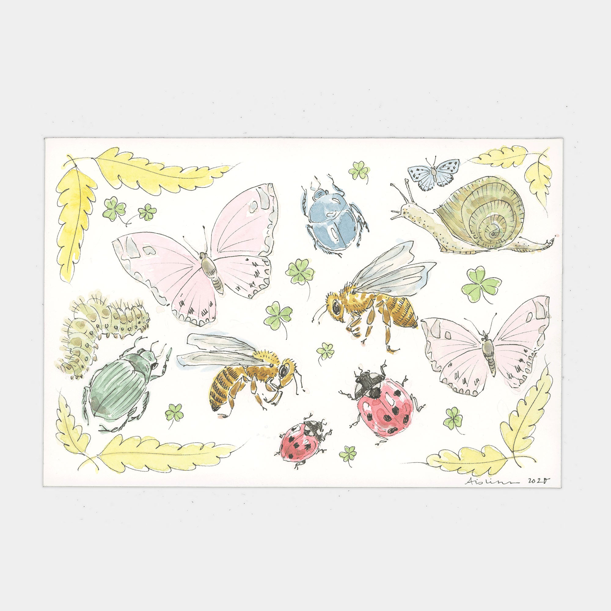 Insect Friends – Ace and Em